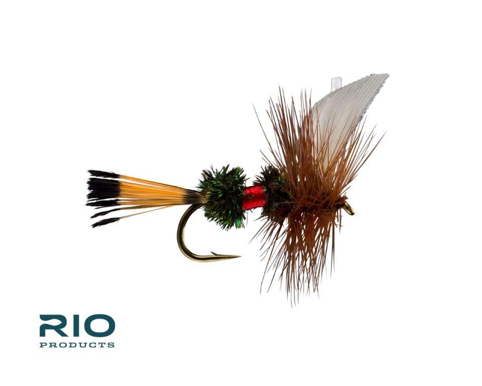 OldAuSable.com: Royal Coachman