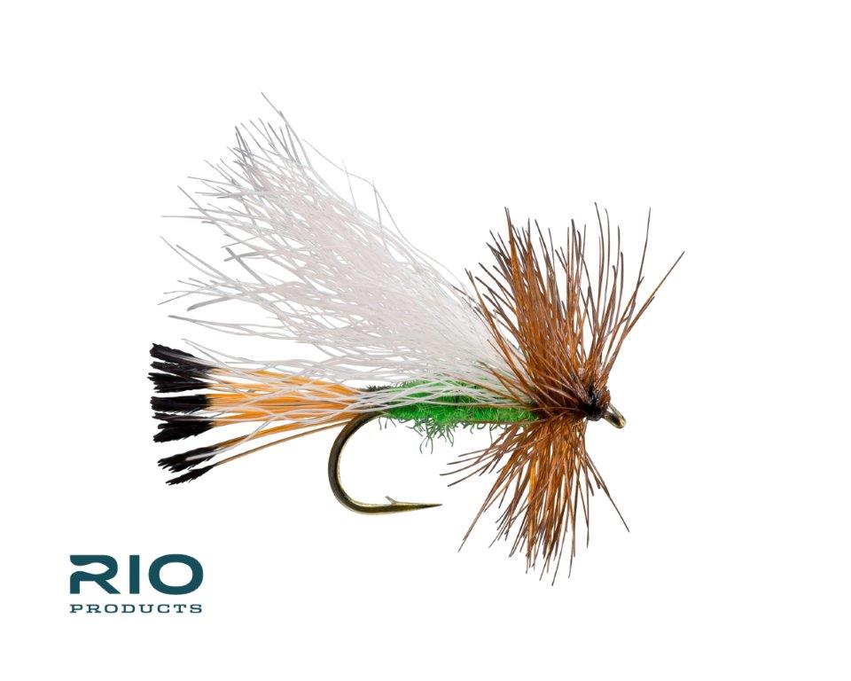 OldAuSable.com: Lime Trude